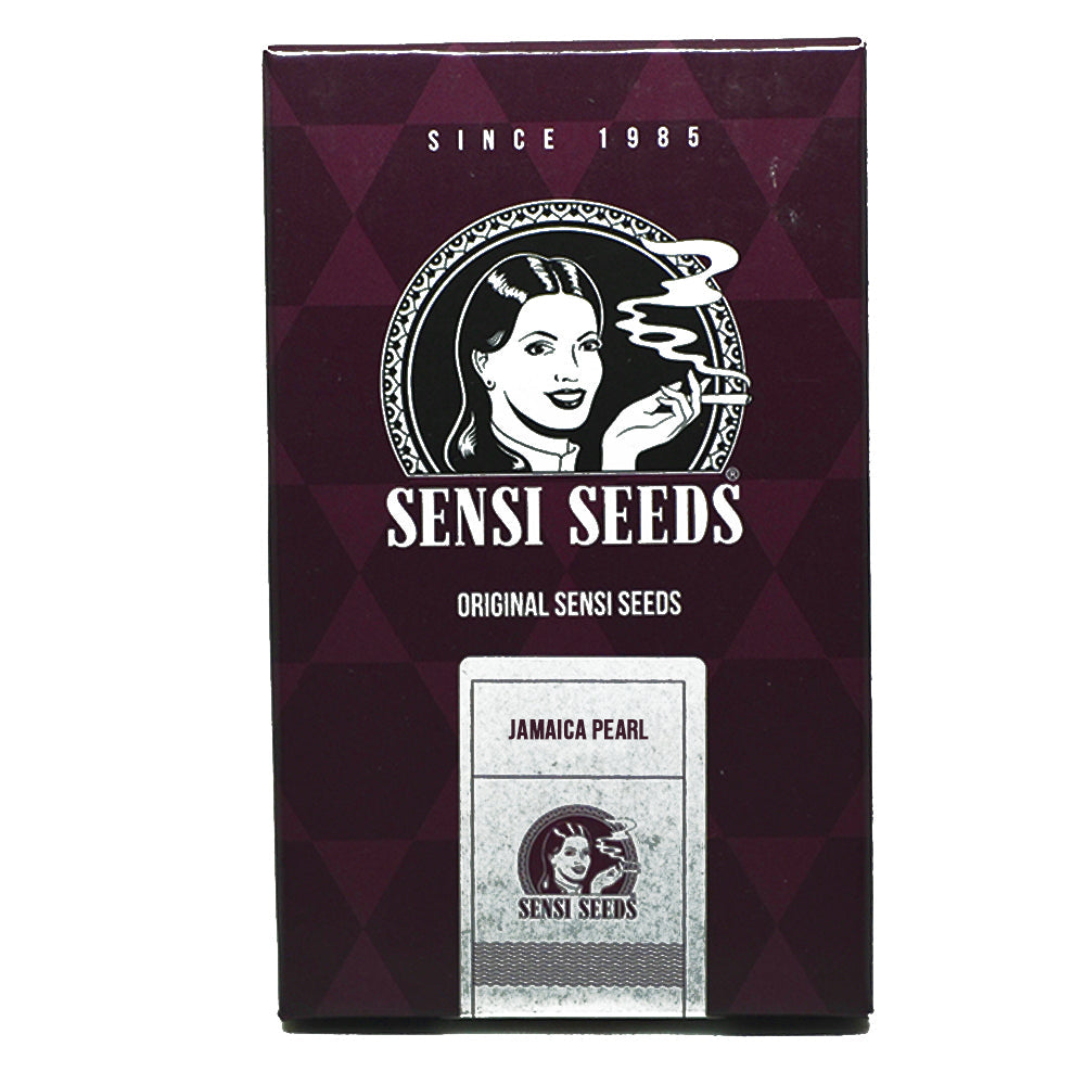 Jamaican Pearl: Sativa Caribeña de Calidad